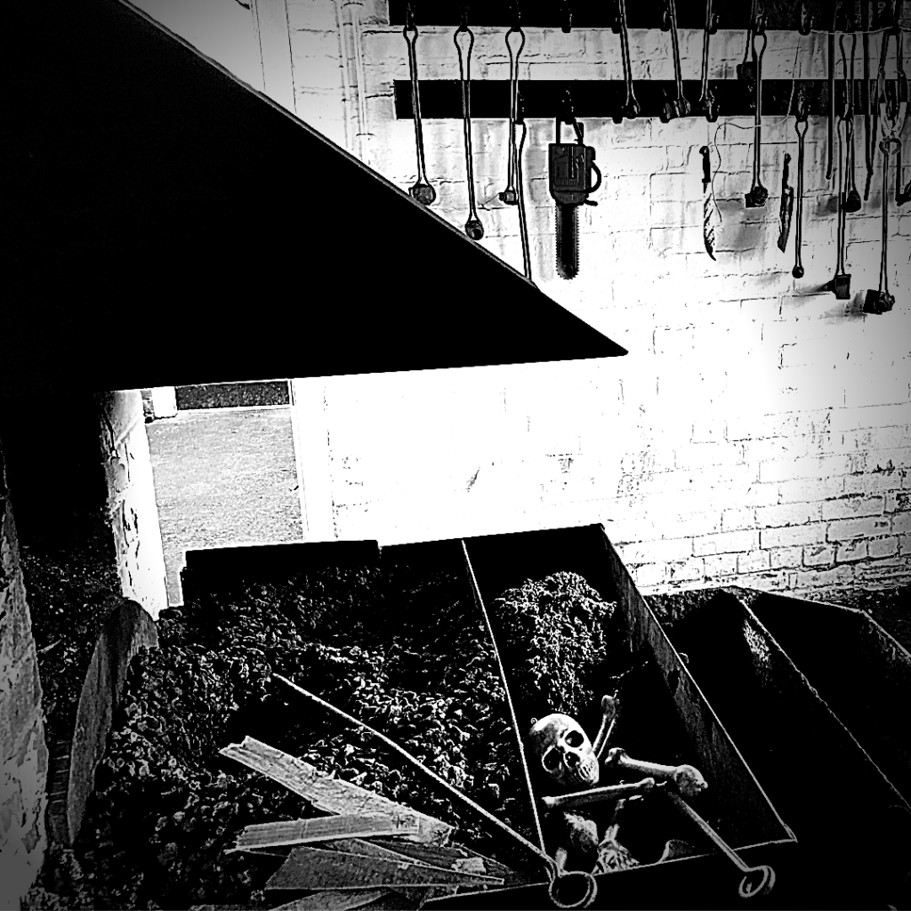 10 Reasons Why You Should Visit NHRM this October Half-Term - National ...