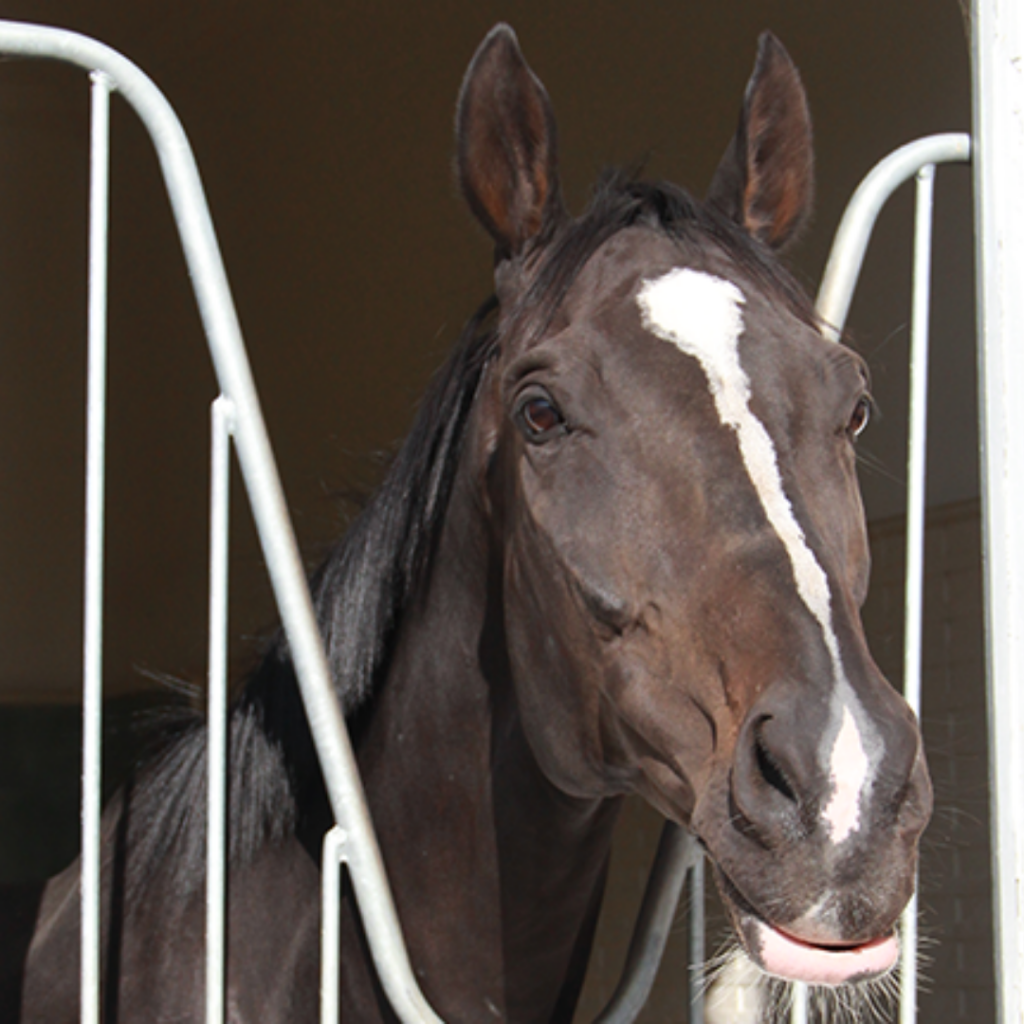 10 Reasons Why You Should Visit NHRM this October Half-Term - National ...