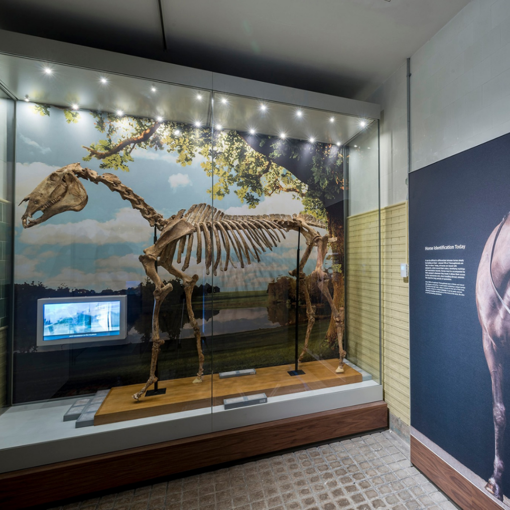 10 Reasons Why You Should Visit NHRM this October Half-Term - National ...