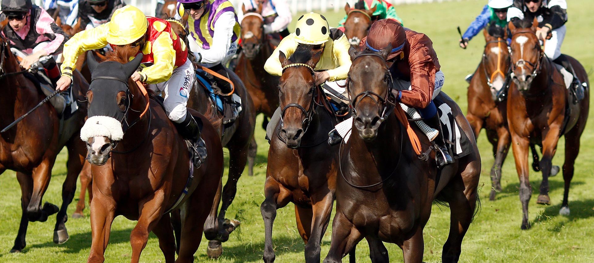 A day in the life of a Trainer: Tom Clover Racing - National ...