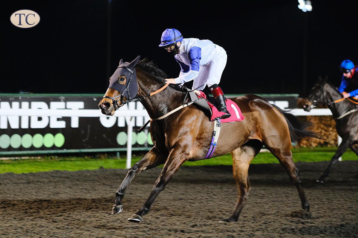 A day in the life of a Trainer: Tom Clover Racing - National ...