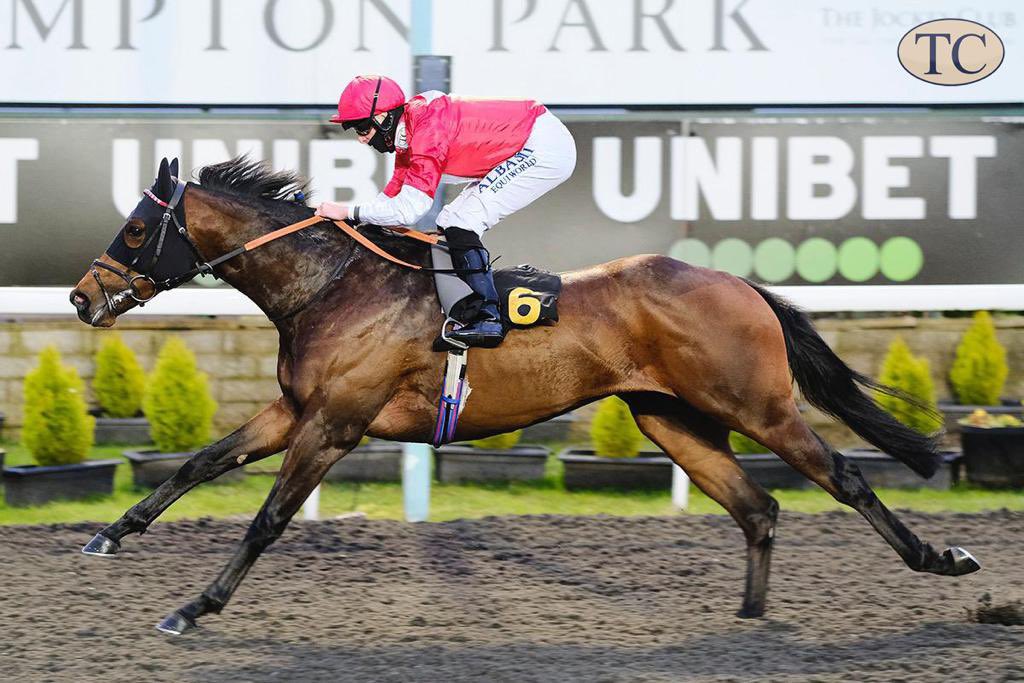 A day in the life of a Trainer: Tom Clover Racing - National ...