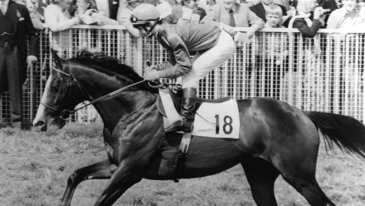 The first man to ride Shergar - National Horseracing Museum
