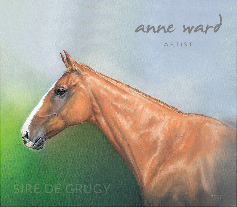 New Anne Ward Exhibition - The Racehorse: Past & Future - NHRM