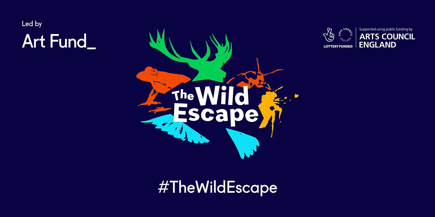 NHRM joins The Wild Escape, uniting museums with schools and families