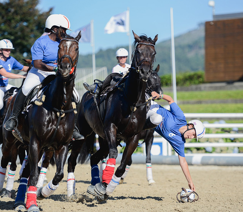 RoR Racing to Horseball Cup - National Horseracing Museum