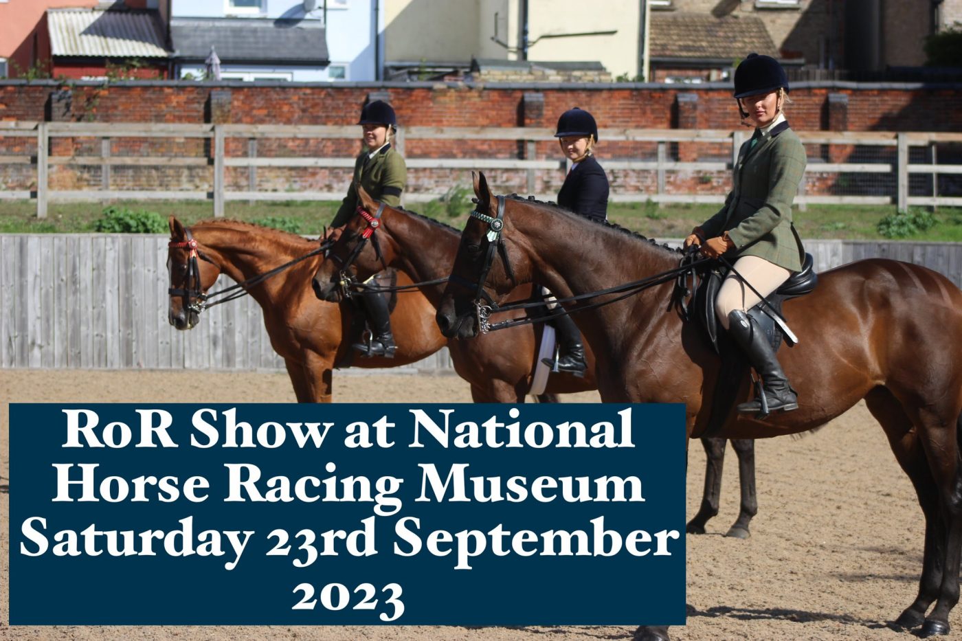 Retraining of Racehorses Show - National Horseracing Museum