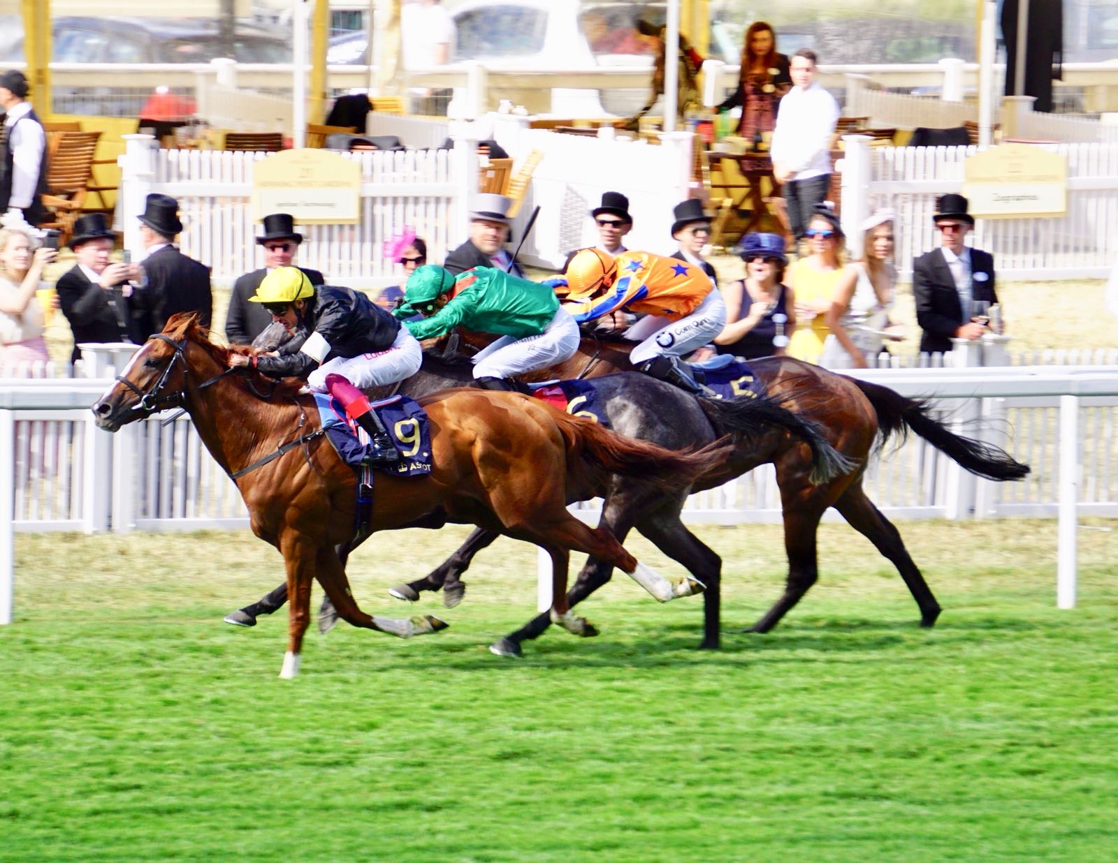 What makes Royal Ascot Special? - National Horseracing Museum