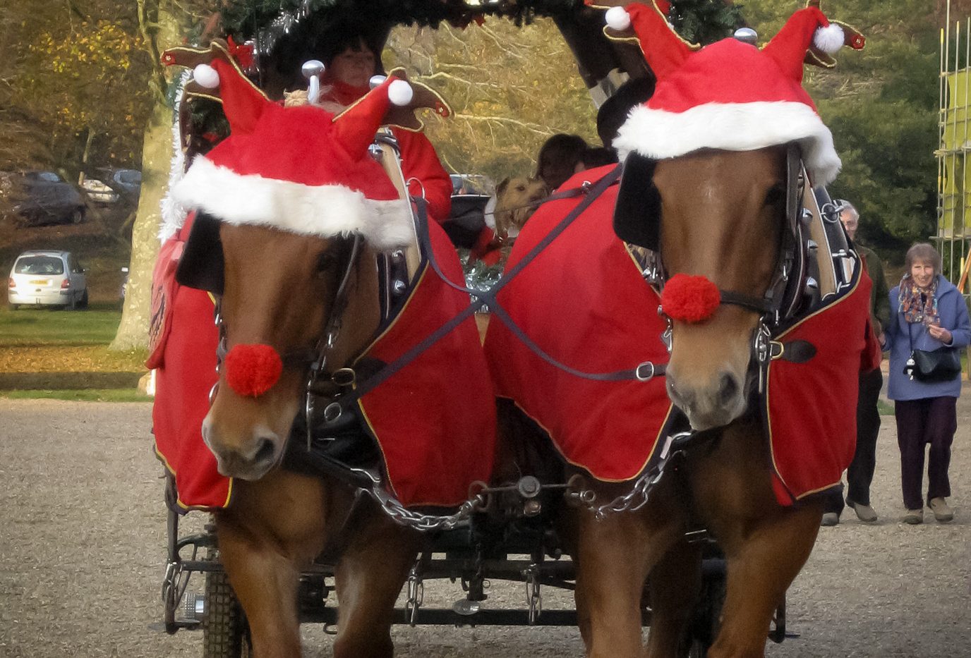 Christmas at the Museum - National Horseracing Museum