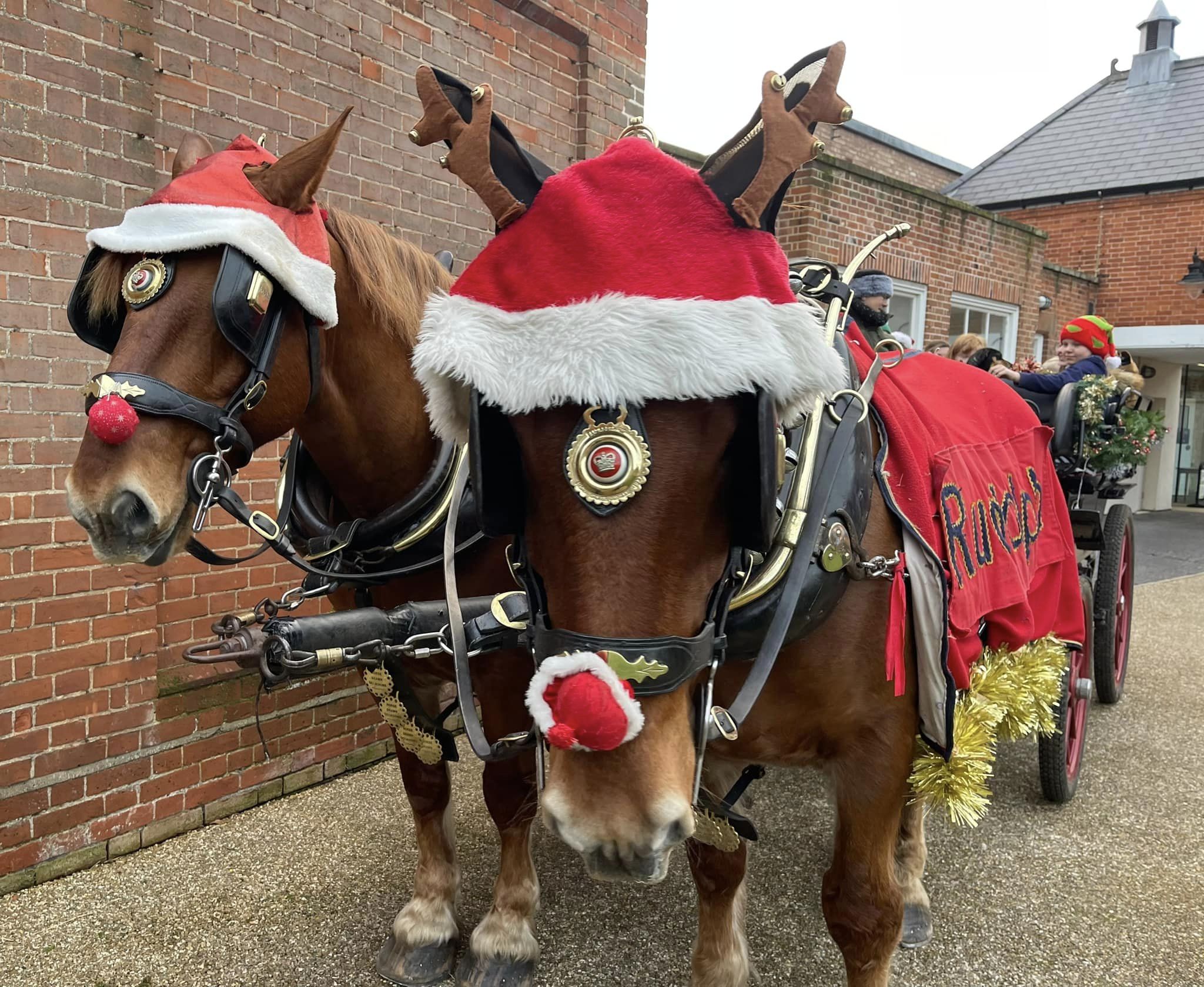 2023: A Year to Remember - National Horseracing Museum