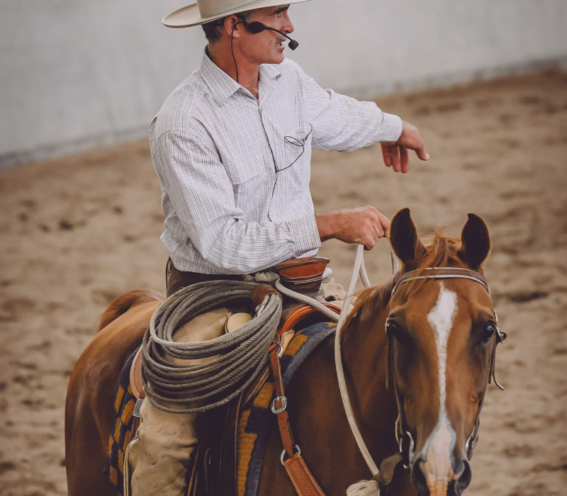 David Stuart: Young Horse Foundation Training Demonstration - National ...