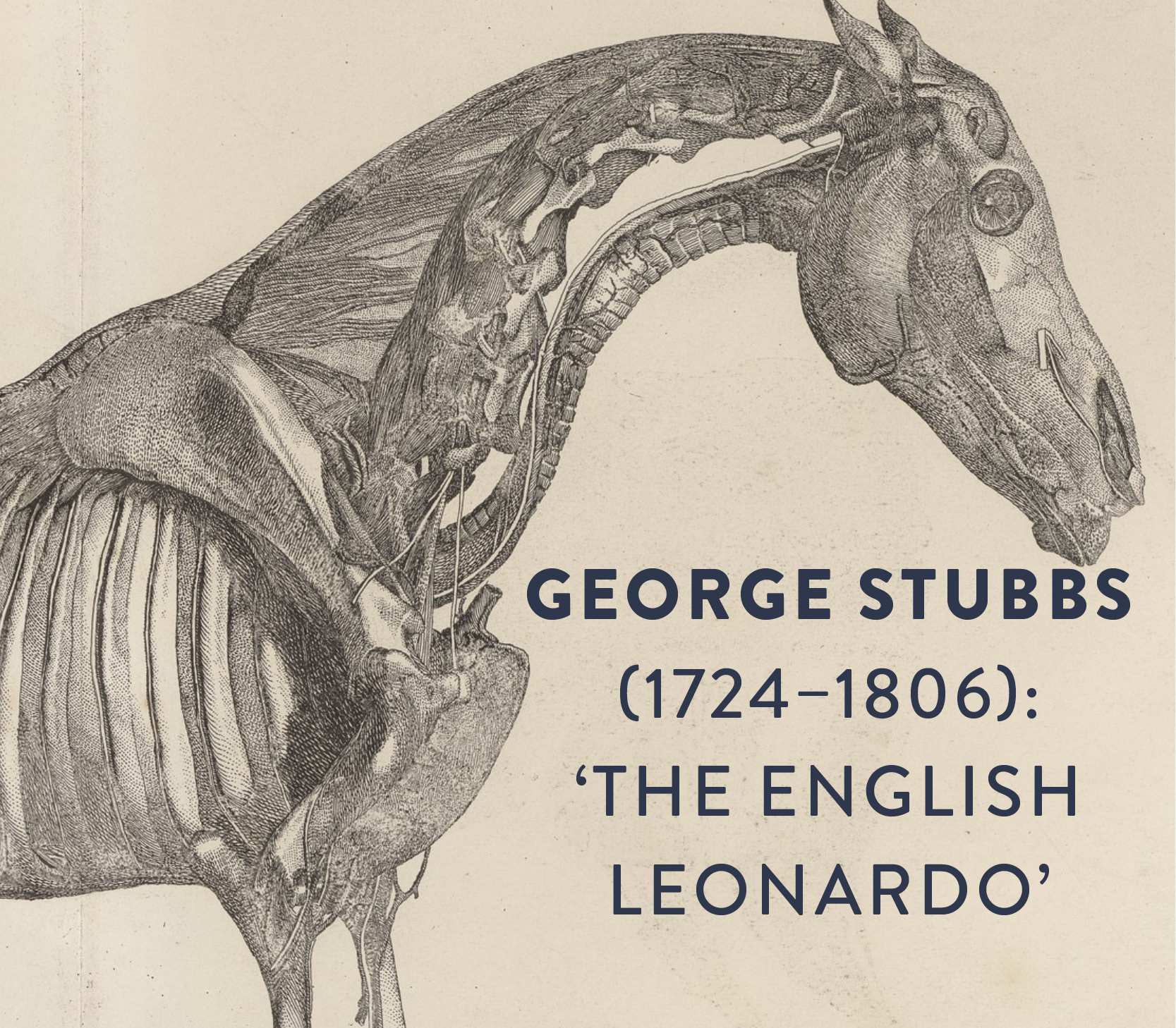 George Stubbs (1724 - 1806): 'The English Leonardo' - National Horseracing Museum