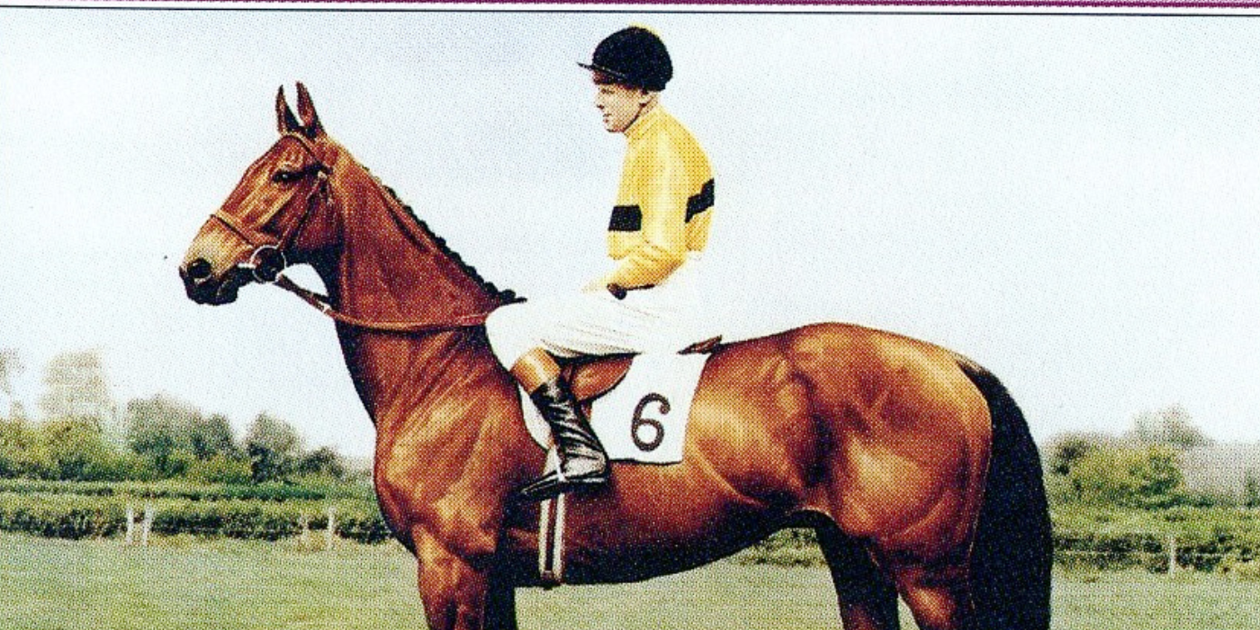 Arkle's Last Stand - National Horseracing Museum