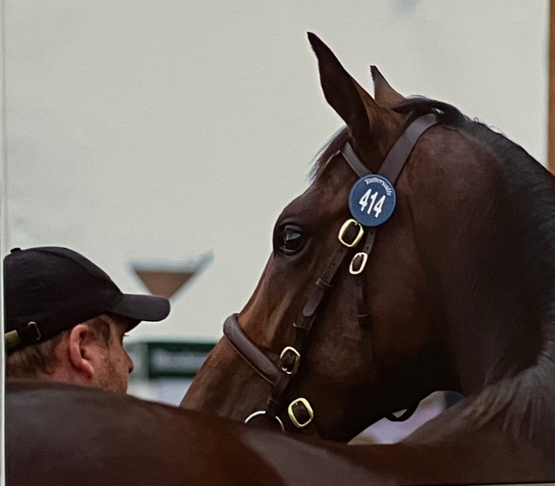 NARS Photography Awards 2025 - National Horseracing Museum