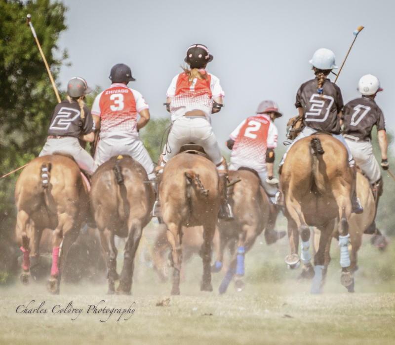 Cambridge and Newmarket Polo Club Demonstration Afternoon - National ...