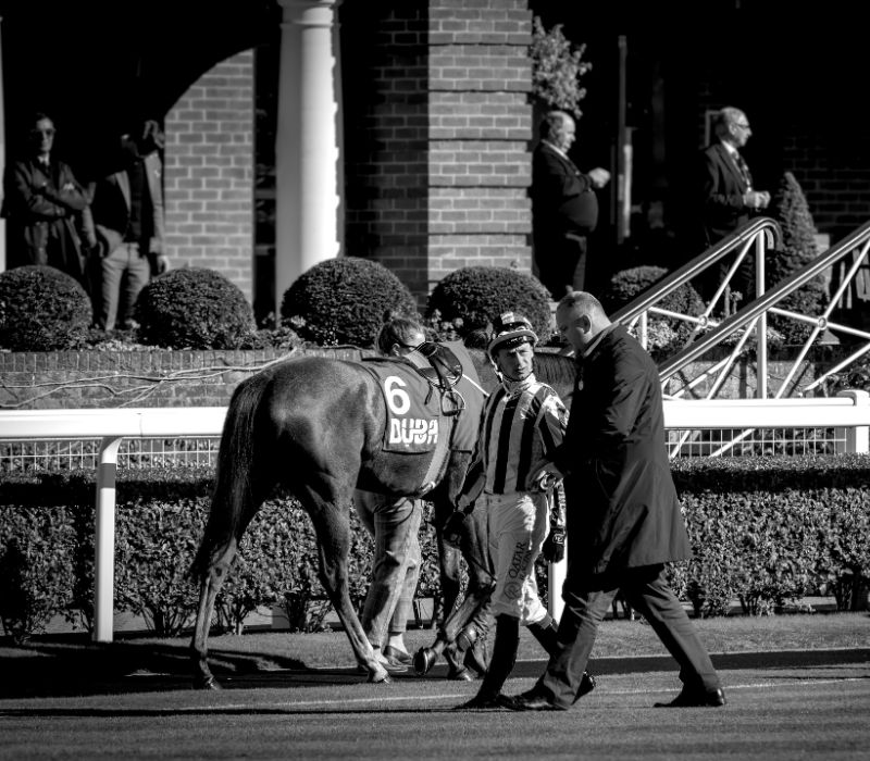 NARS Photography Awards 2026 - National Horseracing Museum